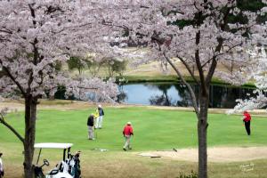 DeSoto Golf Club | Hot Springs Village, Arkansas Golf Courses